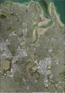 Tāmaki Estuary – Tāmaki Estuary Protection Society (TEPS)